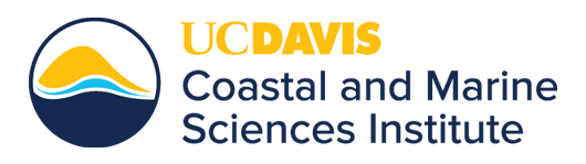 R for marine ecologists: wrangling Earth System Model outputs